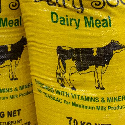 Developing Animal Feed for Kenyan Farmers | Partners in Food Solutions