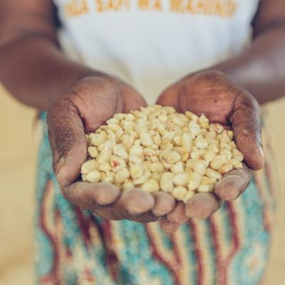 Partnership Brings Improved Food Safety | Partners in Food Solutions